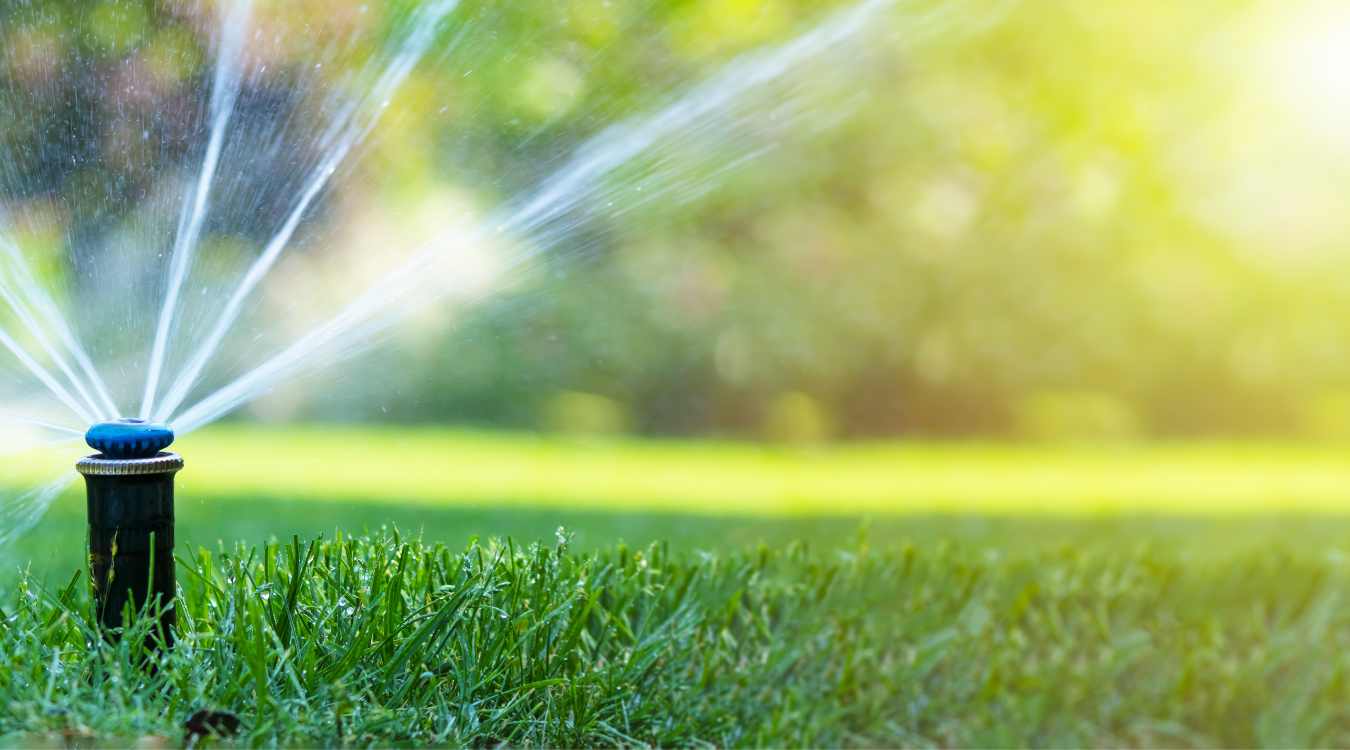 Garden Irrigation Systems Guide 2025: Best Watering Solutions for Your ...