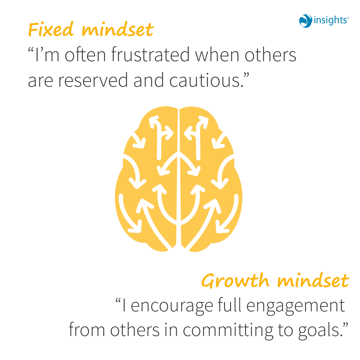 Insights Discovery - The Ultimate Comprehensive Guide to all You Need ...