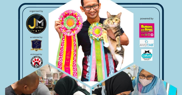 +4 Best Cat Grooming Courses / Workshop in Malaysia