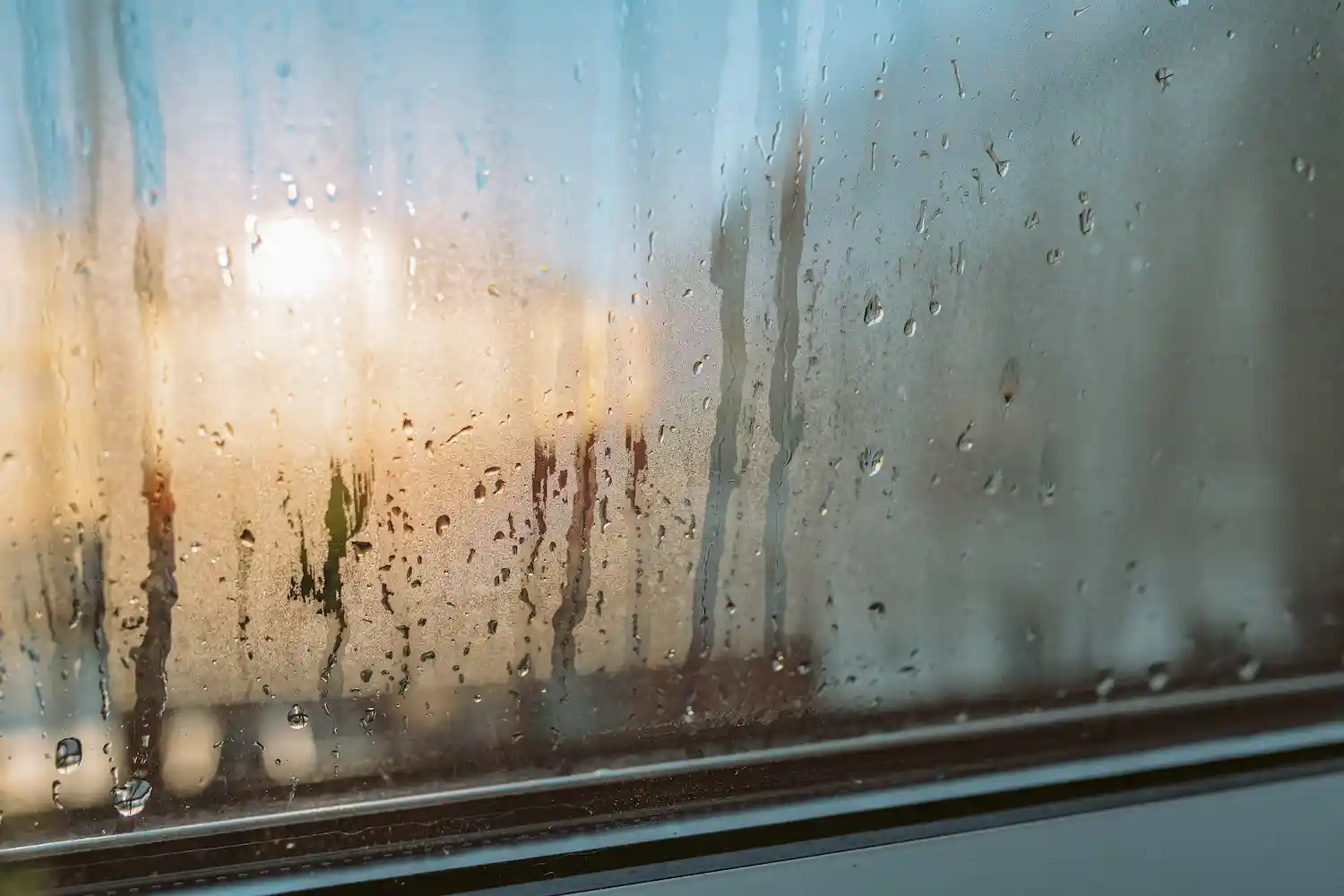 How to Prevent Window Condensation: Tips to Protect Your Home
