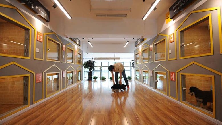 5 Tips On How To Choose Best Pet Hotel