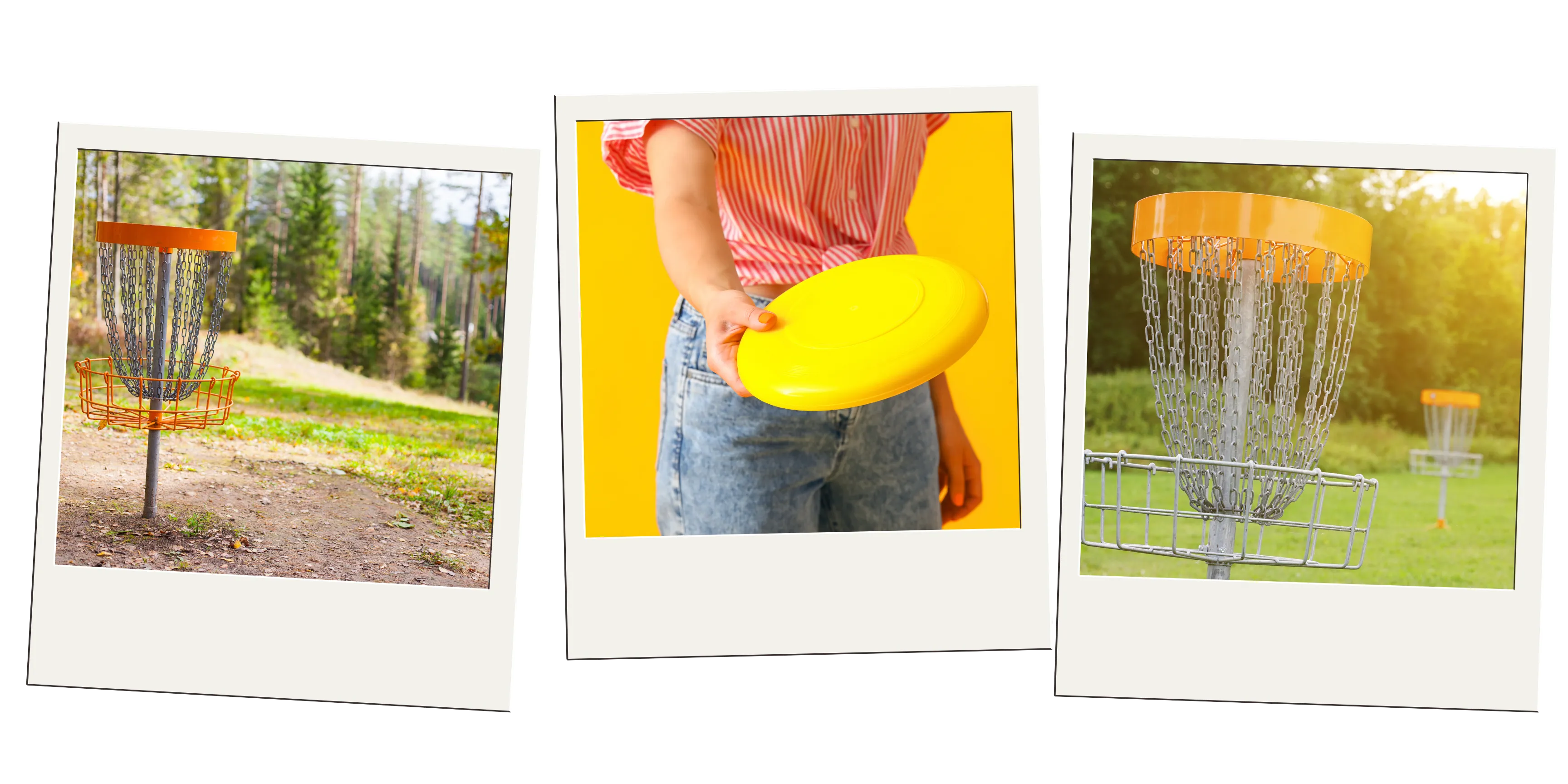 Experience Disc Golf Paradise in Flagstaff, Arizona: Where Nature and ...