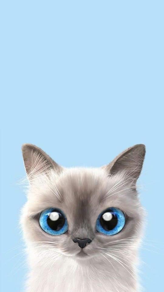 Make Your Phone a Purr-fectly Happy Place With This Cat Wallpaper