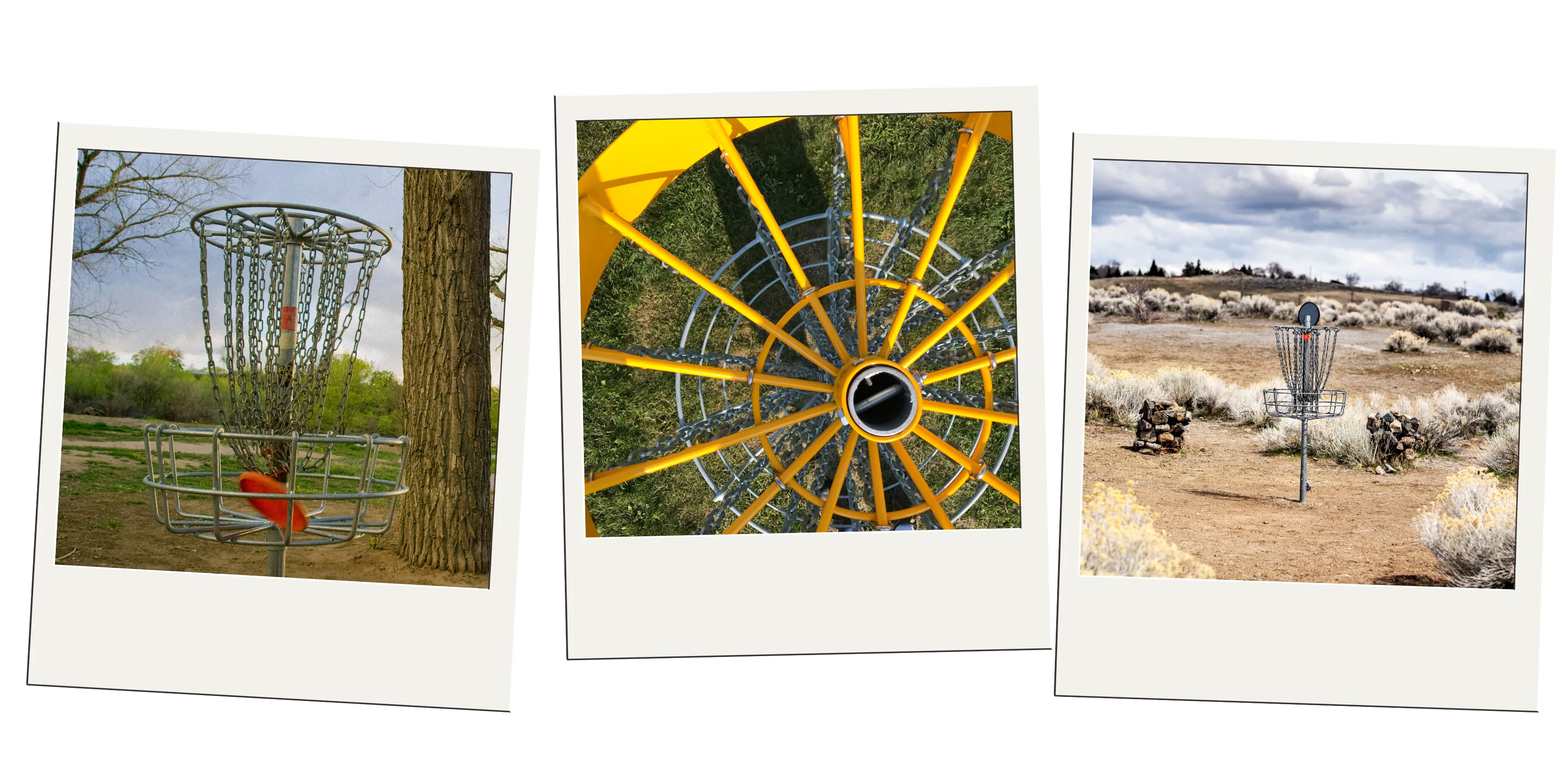 Experience Disc Golf Paradise in Flagstaff, Arizona: Where Nature and ...